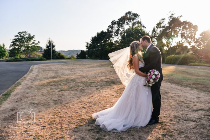 A Year in the Life of a Wedding Photographer ~ Capturing Love across ...